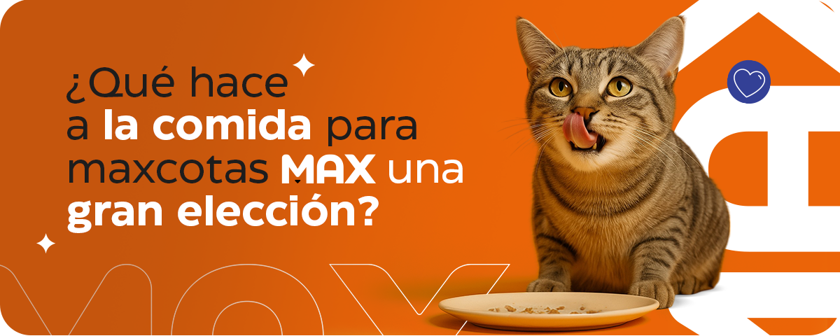 ¿Por qué la comida para mascotas Max es la elección?