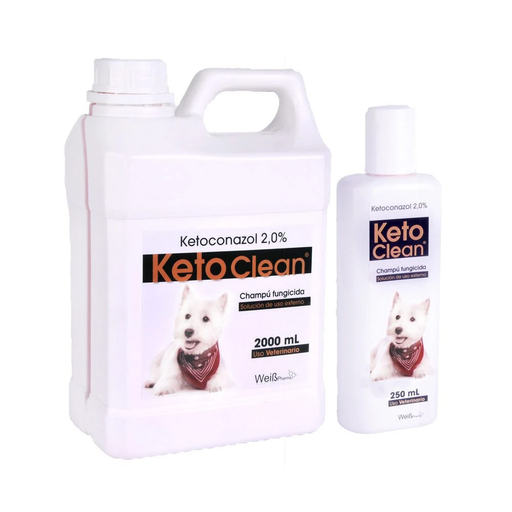 Shampoo Ketoclean