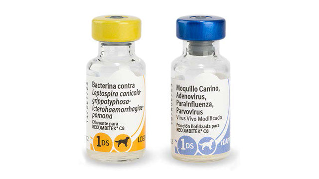 Recombitek C8 Inyectable 1 Ml Quíntuple X 1 Dosis